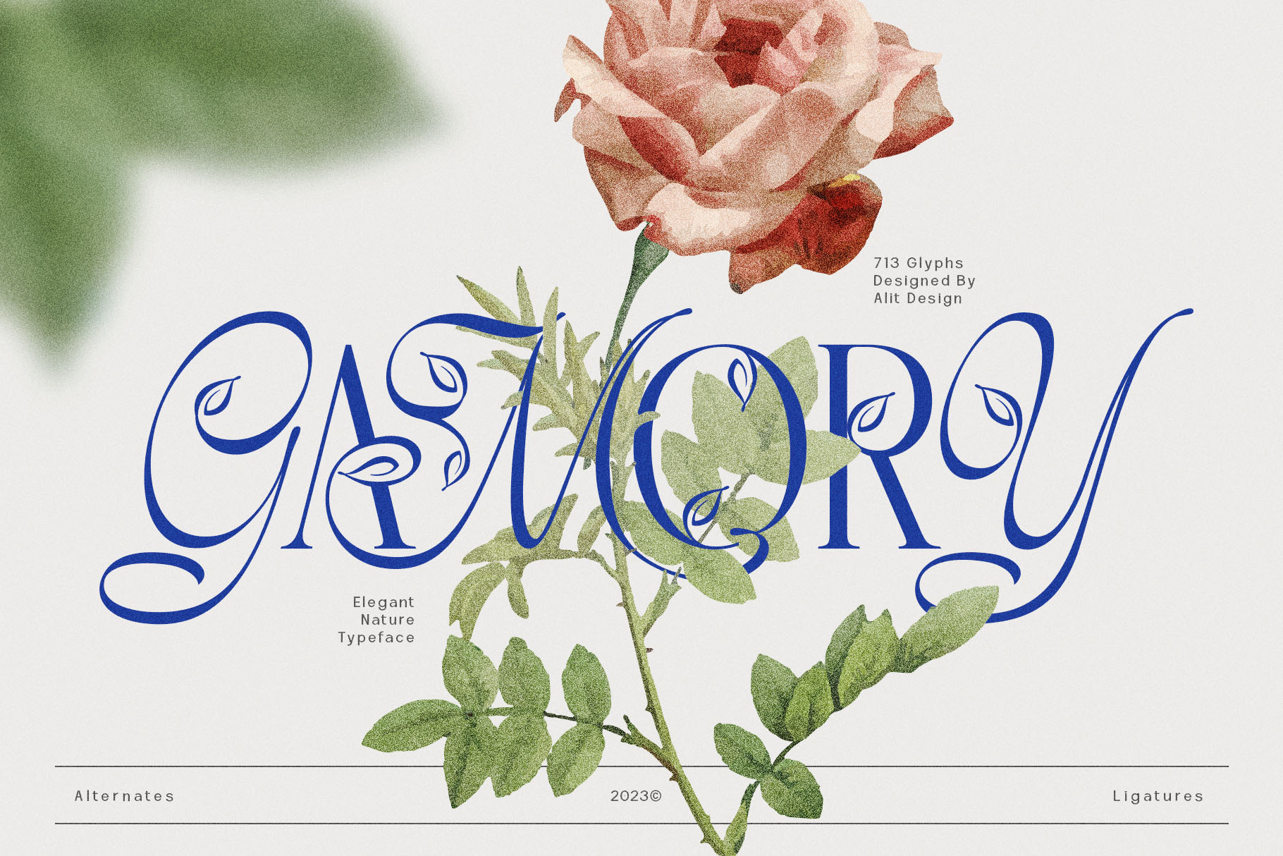 Gamory Typeface