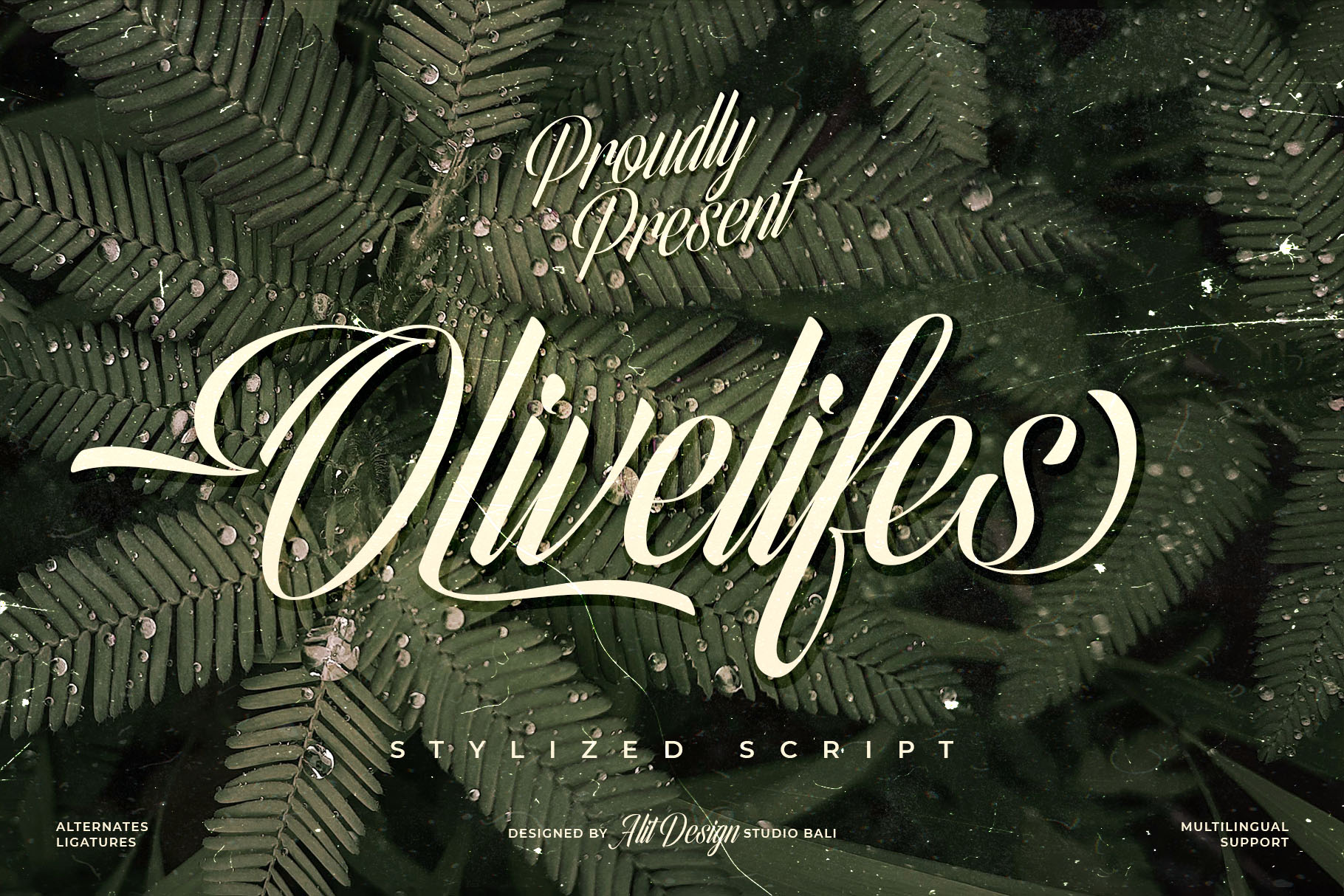 Olivelifes Script Font